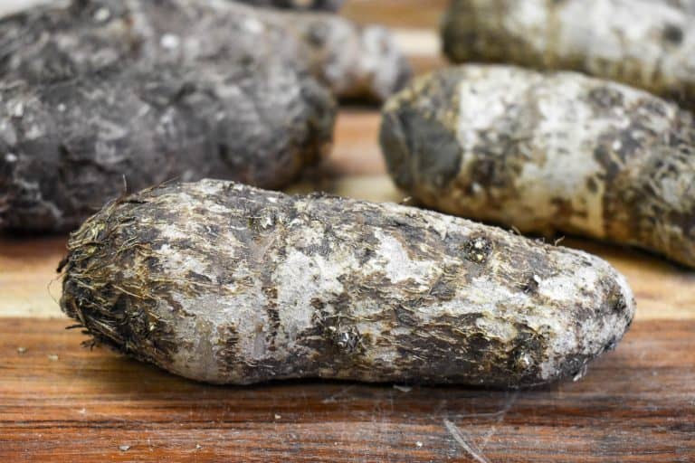 Malanga - Cook2eatwell