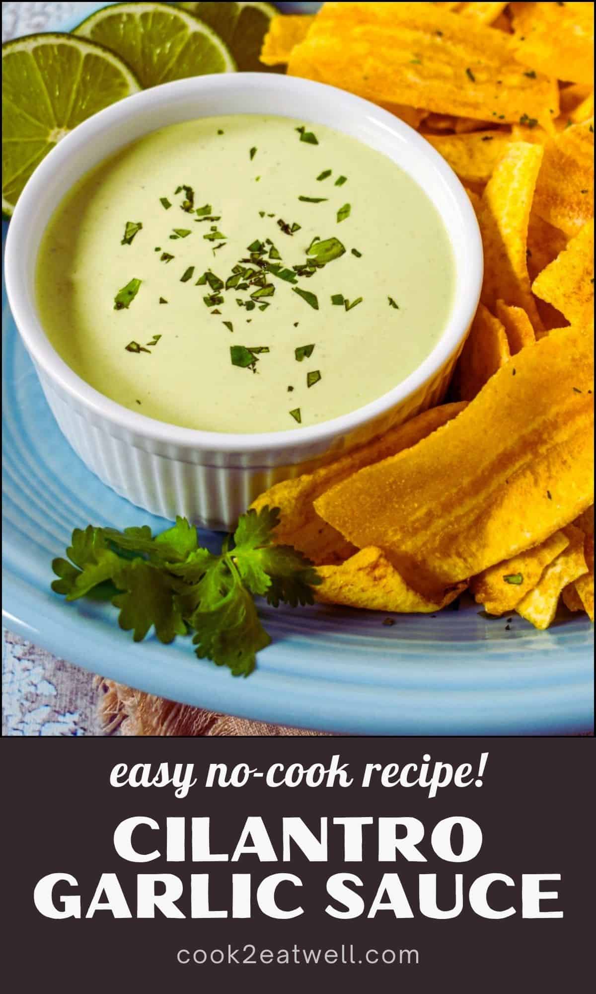 Cilantro Garlic Sauce - Cook2eatwell